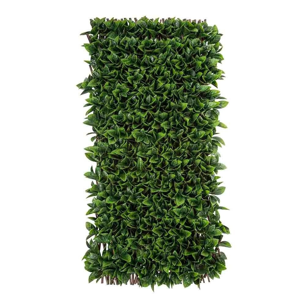 Leaf trellis store