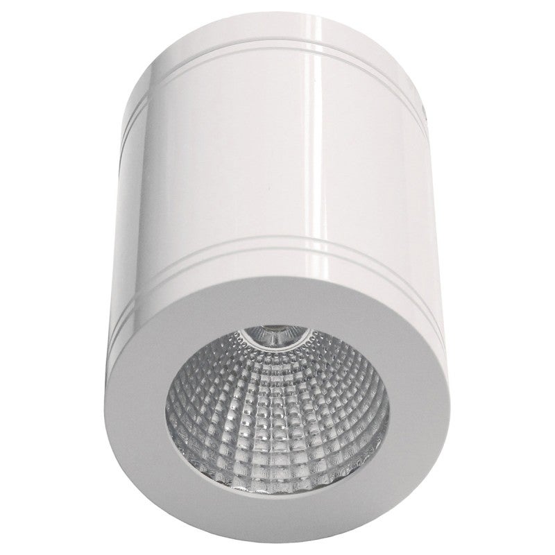 Ark IP65 Indoor / Outdoor Dimmable LED Surface Mounted Downlight, 13W ...