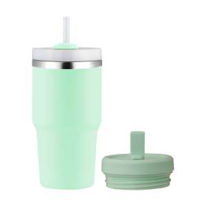 Avanti HydroQuench Stainless Steel Smoothie Tumbler with Two Lid, 550ml, Soft Mint