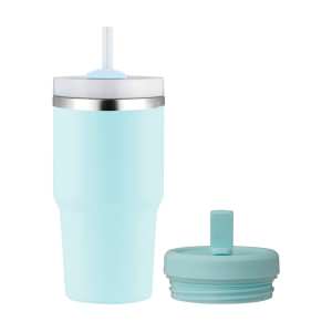 Avanti HydroQuench Stainless Steel Smoothie Tumbler with Two Lid, 550ml, Sea Breeze Blue