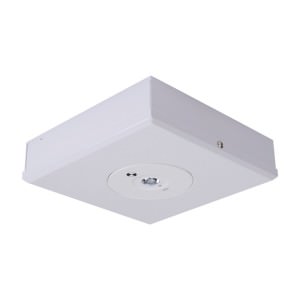 Evac Surface Mounted LED Emergency Light, 3.5W, 4500K, White