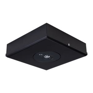 Evac Surface Mounted LED Emergency Light, 3.5W, 4500K, Black