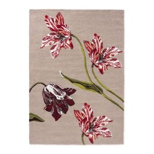 Ted Baker Botanical Tulip Indoor / Outdoor Designer Rug, 350x250cm ...