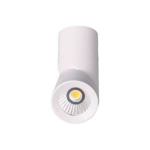 Vino Surface Mounted LED Gimble Downlight, 12W, 3000K, White