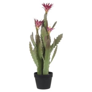 Rogue Potted Artificial Flowering Cactus