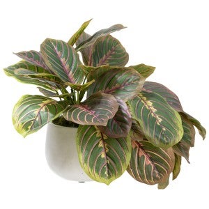 Lashawn Potted Potted Artificial Peacock Bush, 28cm